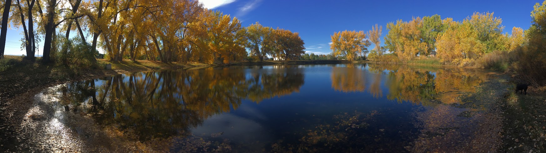 About Owl Lake Estates | Owl Lake Estates Homeowners' Association